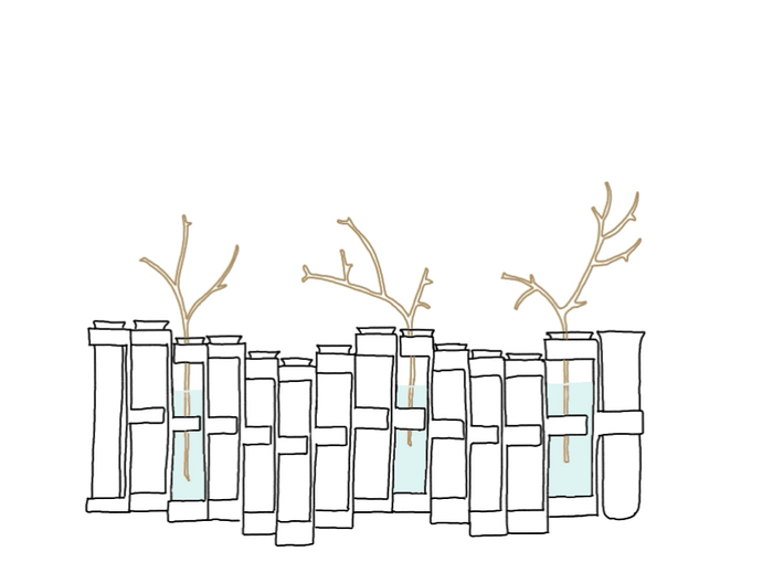 Tout ce que vous avez toujours voulu savoir... – Tsé & Tsé